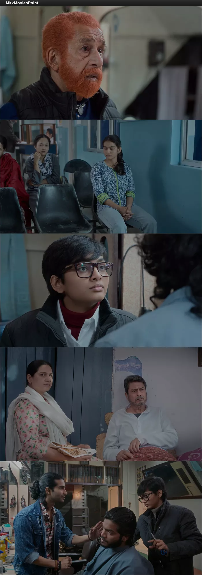 Safia/Safdar (2026) Hindi HDRip 1080p 720p 480p Full Movie